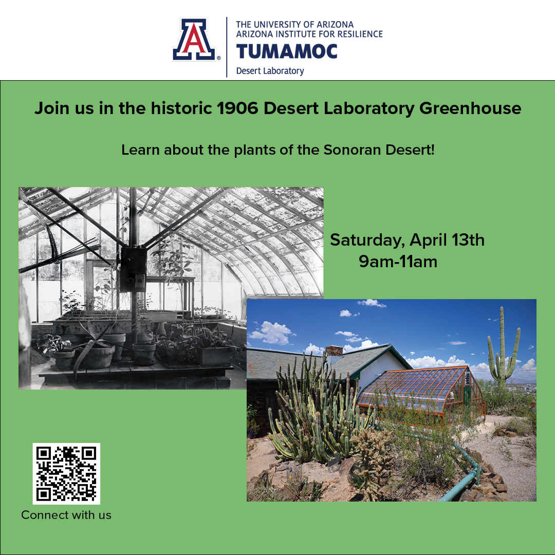 Open Greenhouse | Desert Laboratory on Tumamoc Hill